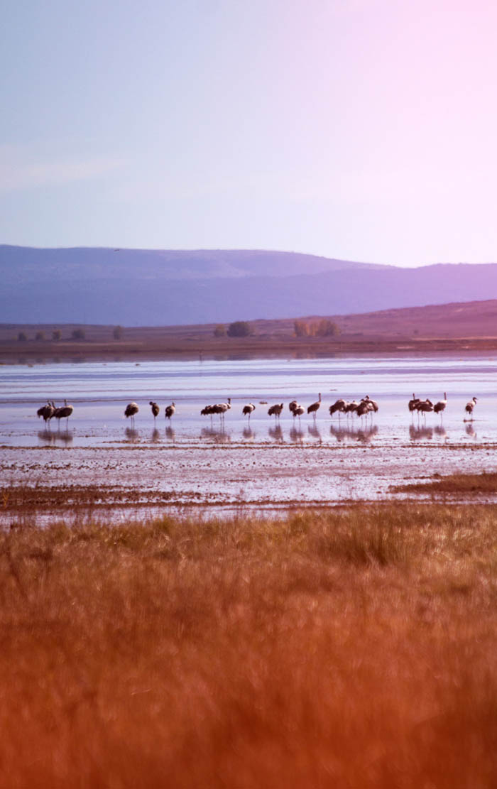 Mapping biodiversity - NASA Earth Science and Technology Office